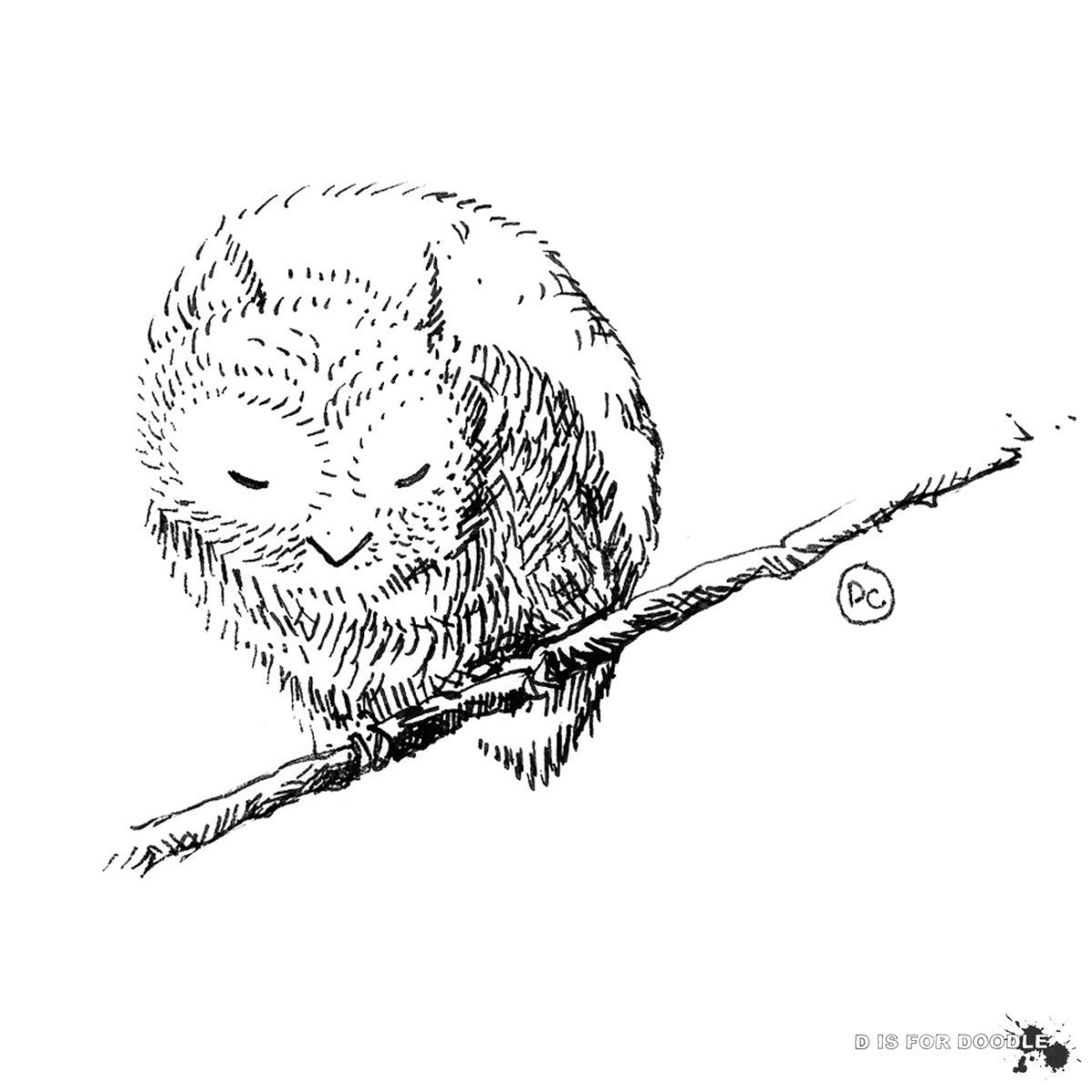 Owl | D is for Doodle