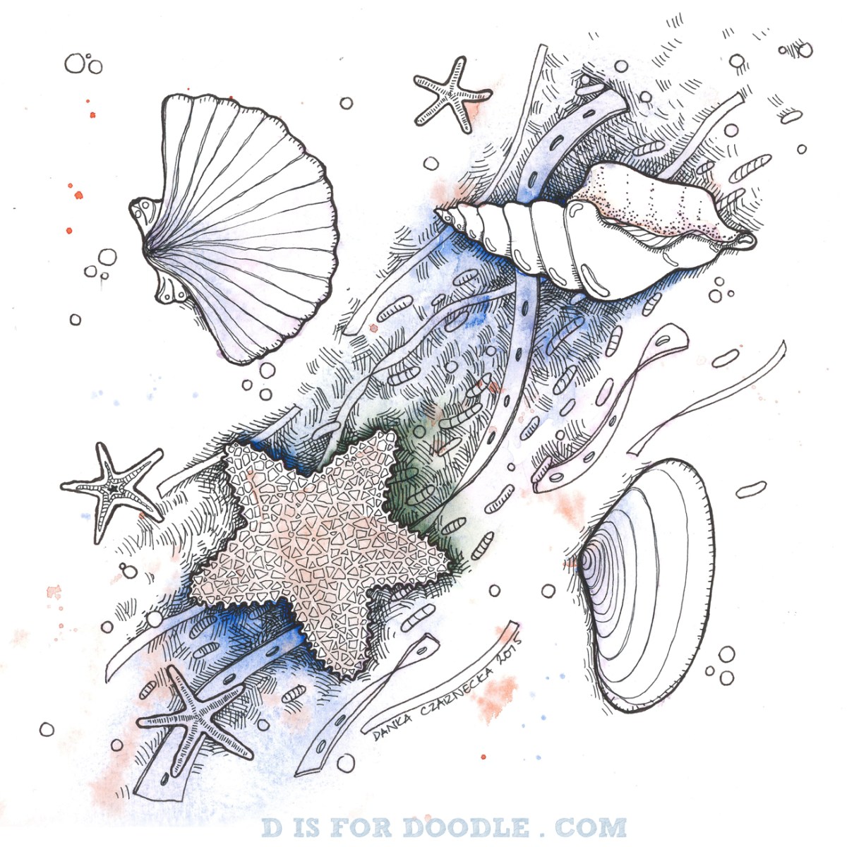 Shell collection | D is for Doodle